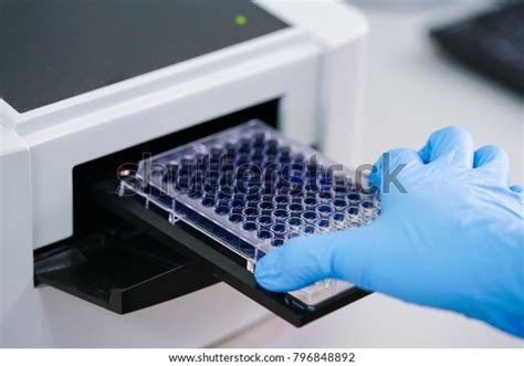 Elisa Plate Measure Od Microplate Reader Foto Stok Shutterstock