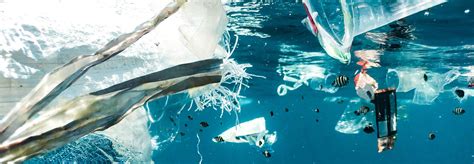 Exploring The Great Pacific Garbage Patch Es Management