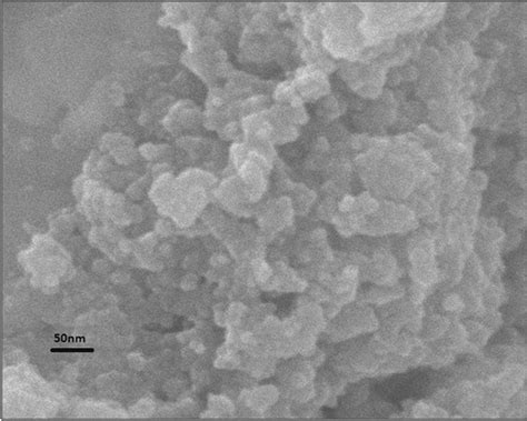 Scanning Electron Microscopy Image Of Pa Agnps Download Scientific
