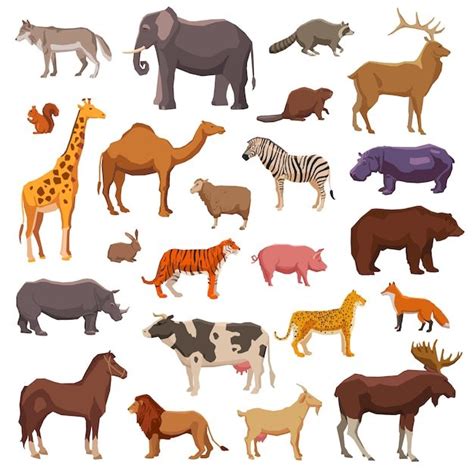 Animals Flashcards For Class 3 Quizizz