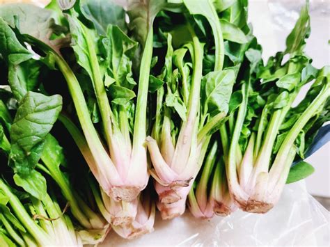 섬초샐러드 시금치 샐러드 시금치 생으로 먹는 방법 올리브오일드레싱