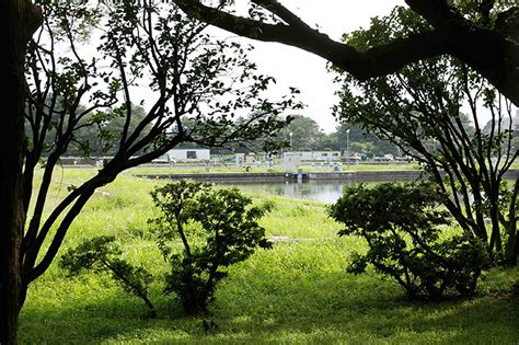 境浄水場 武蔵野観光スポット