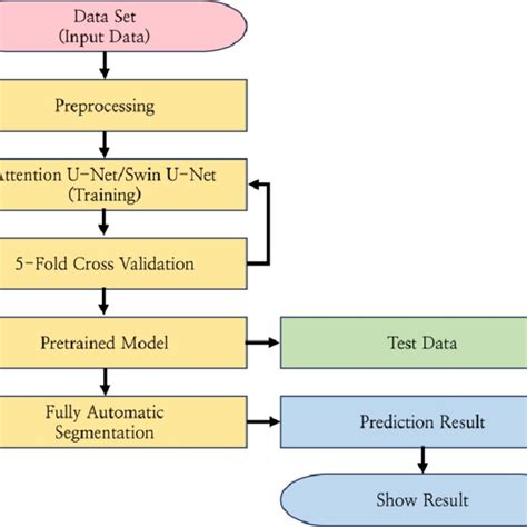 Process Of Segmenting The Pelvic Region Using U Net Download