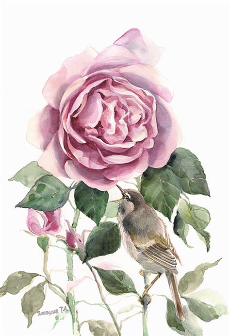 Иллюстрация Соловей и роза в стиле академический рисунок графика