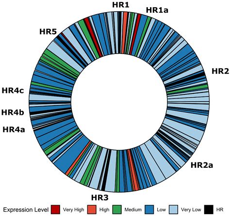 Human Gene Expression Vectors