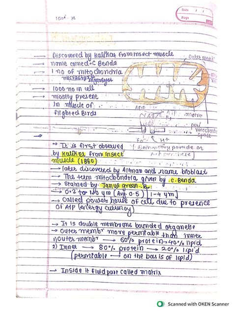 Mitochondria Detailed Notes 11 Pdf