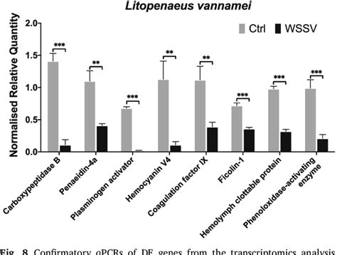 Figure 8 From A Comparative Synthesis Of Transcriptomic Analyses