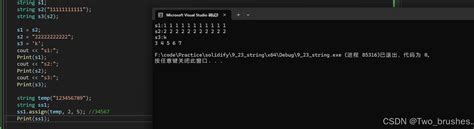C String容器的使用 Csdn博客
