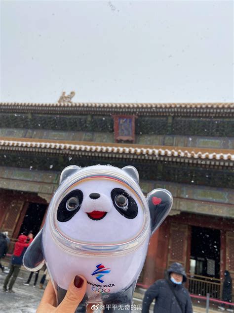 组图：顶流遇上顶流 冰墩墩与故宫的绝美相遇 搜狐大视野 搜狐新闻