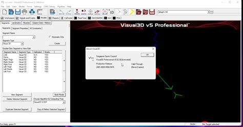Visual D
