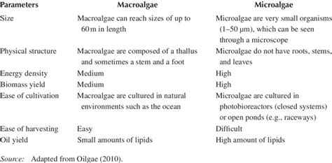 Major Differences Between Macroalgae And Microalgae Download Scientific Diagram