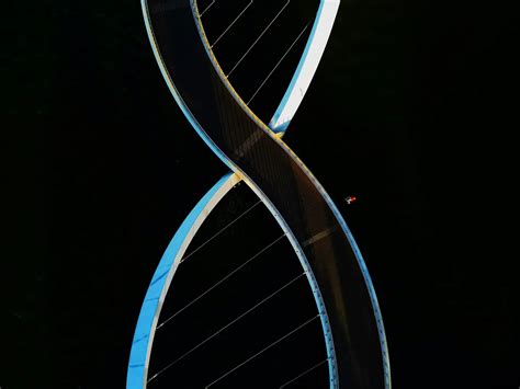 Take Control Of Your Code A Complete Guide To Python Control Structures By Muhammad Naveed