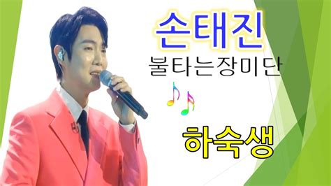 손태진하숙생 불타는장미단 Youtube