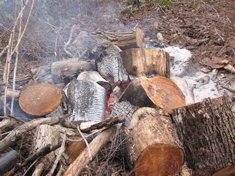 See Smoke Controlled Burns In The Central Okanagan Okanagan