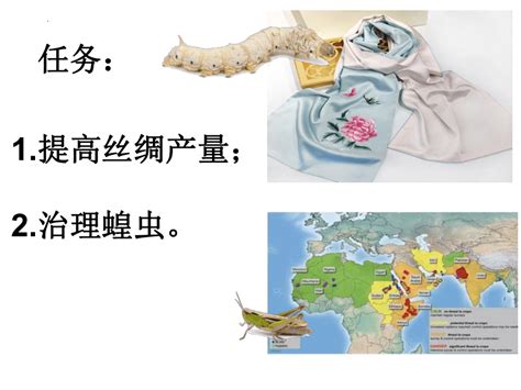 Ppt