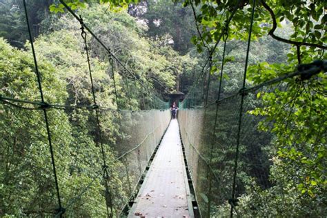 Tempat Wisata Di Sekitar Bogor Puncak Paling Hits Dan Instagramable