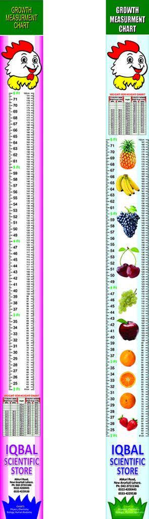 Height Chart Iqbal Scientific Store