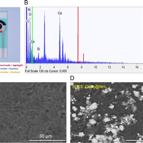 A Screen Printed Carbon Electrode Spce B Eds Spectra Of Download Scientific Diagram