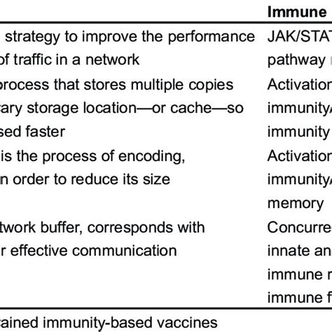 The Network Optimization Analogy Download Scientific Diagram The Network Optimization Analogy Download Scientific Diagram