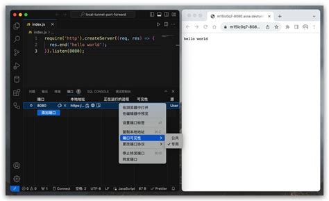 vscode 现在已经原生支持了内网穿透，你只需要在工具栏中设置本地的具体端口，它就会生成一个临时域名，帮你把服务暴露出去。 李靖