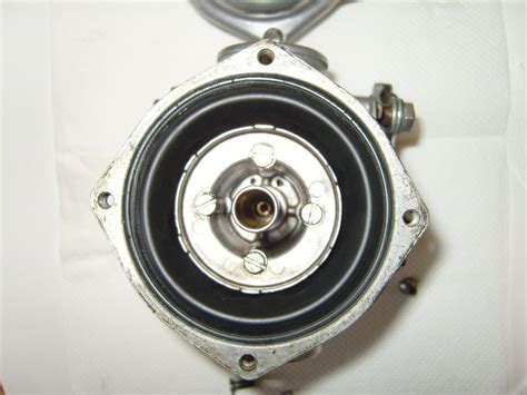 s1033725.jpg | Servimg.com - Free image hosting service