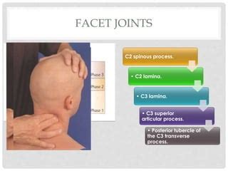 Cervical Spine Assessment For Human 1 Pdf