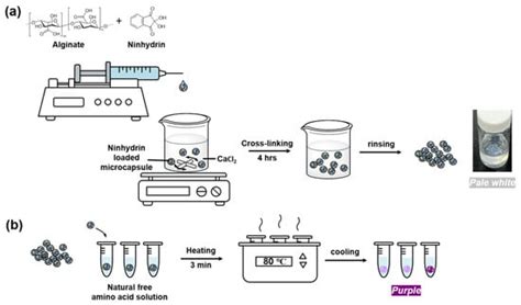 Ninhydrin Loaded Microcapsules For Detection Of Natural Free Amino Acid