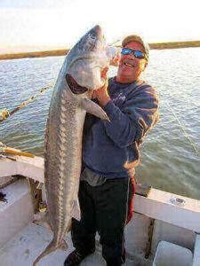 How To Catch Sturgeon