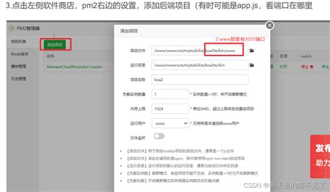 关于宝塔的pm2部署node后端koa2项目本人踩的坑宝塔 Pm2 Csdn博客