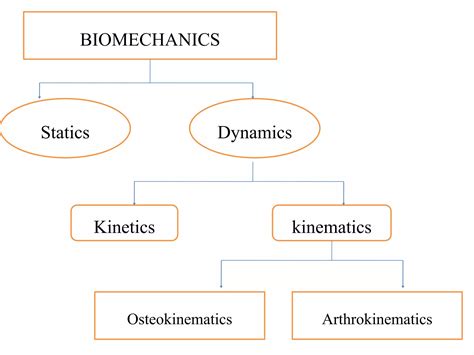 Kinetics And Kinematics Pdf