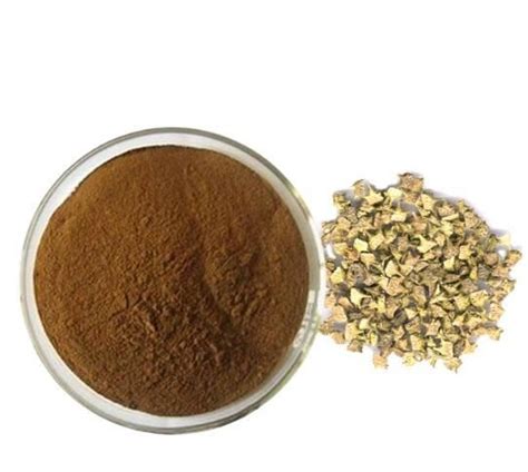 Best Tribulus Terrestris Extract Manufacturer Undersun