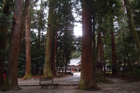 一の宮の迫力 ちょっと山ぼけ