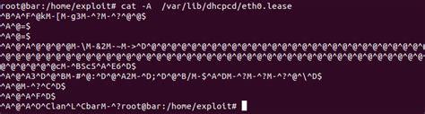 networking debug dhcpcd using the lease file at var lib dhcpcd