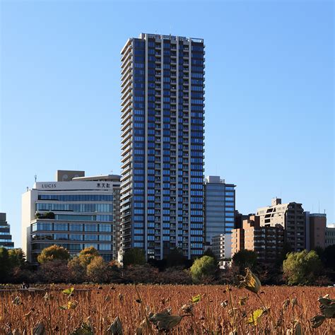 Brillia Tower 上野池之端（ブリリアタワー上野池之端） 超高層ビル部