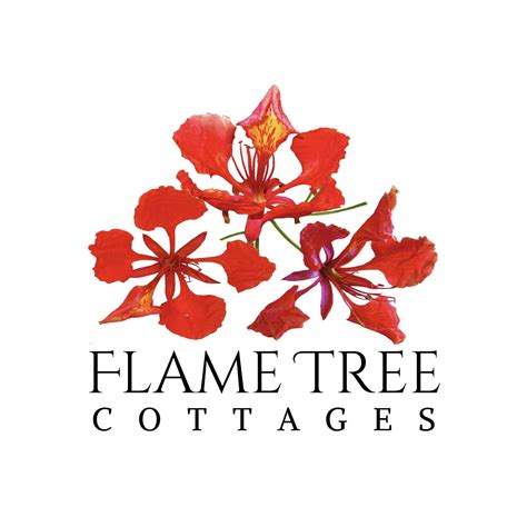Flame Tree Cottages Zanzibar Here At Flame Tree The Individually