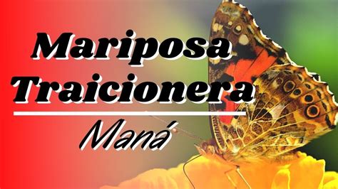 🦋 ManÁ Mariposa Traicionera Letralyricstesto Youtube