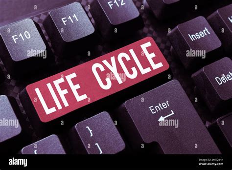 Text Caption Presenting Life Cycle Concept Meaning The Series Of