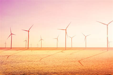 해상풍력터빈 농장은 대체 전기원 지속가능한 자원개념 풍력발전기 터빈이 있는 여름의 태양광 재생 에너지 개념입니다 자연에 대한 스톡 사진 및 기타 이미지 Istock