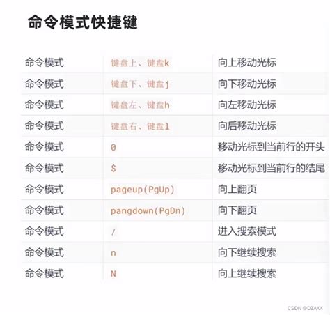 Linux基础：目录结构、命令与权限管理详解 Csdn博客