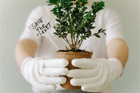 Social Environmental And Economic Impacts Of Sustainable Development