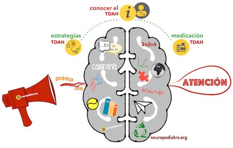 Tratamiento Del Tdah Neuronas En Crecimiento
