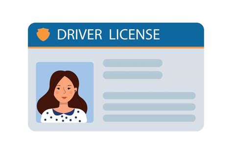 Driver License Template Vector Art Icons And Graphics For Free Download