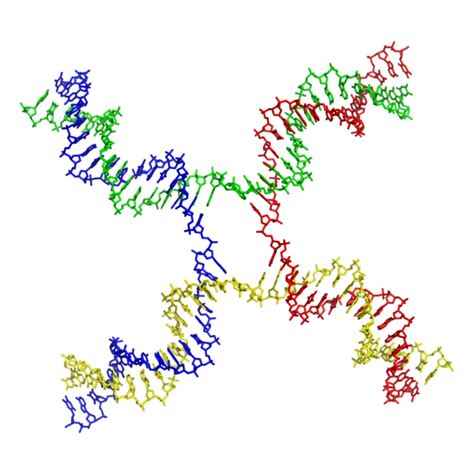 DNA Wikidoc