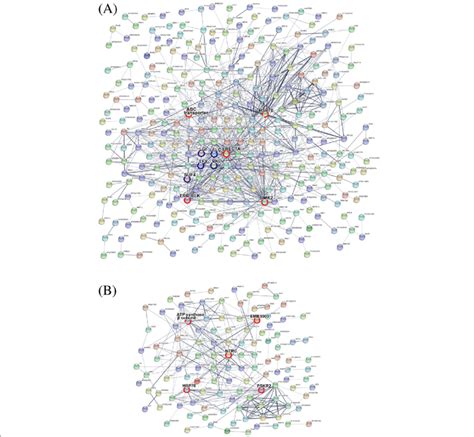 Network Component Analysis For The Proteins Within The Wgcna Modules Download Scientific