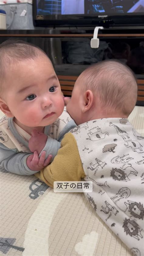 双子の日常 顔寄せ合って嬉しそうにしてる💓 ほっぺとほっぺがプニプニ。 とにかく尊い😍 双子ってお互いの事どんな風に思ってる のかなぁ