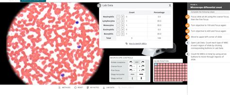 Lab Data Phase 4 Microscope Differential Count Count