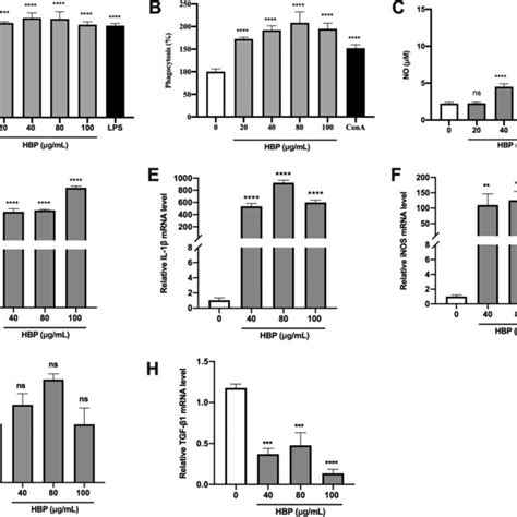 Immunomodulatory Effects Of Hbp On Raw2647 Cells Raw2647 Cells Are