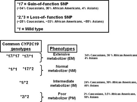 Snps Of Cyp2c19 Gene And Prevalence Of Genetically Predicted