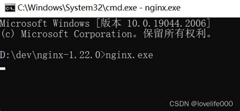 nginx下载、安装与使用 nginx download csdn博客