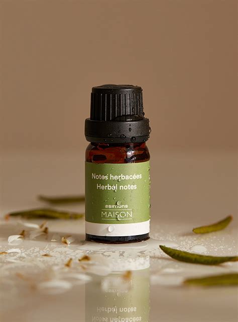 Diffusers And Home Fragrances Simons Maison